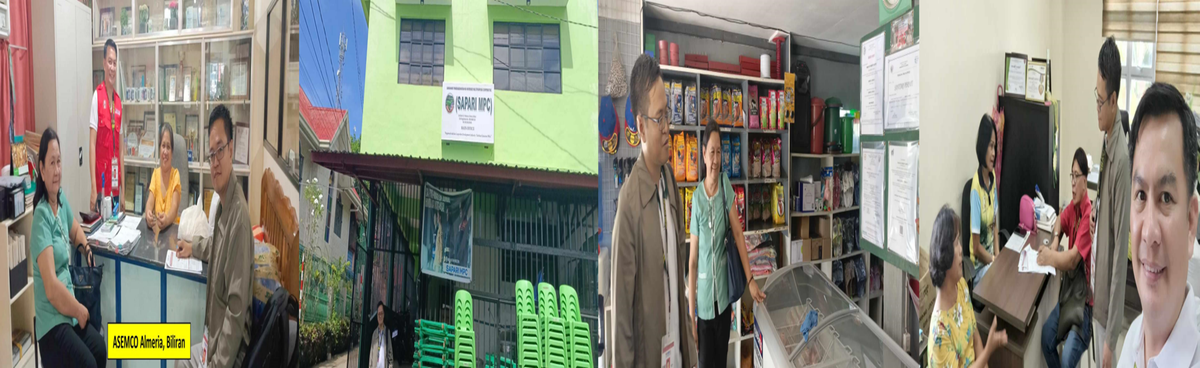 CBO in Almeria, Kawayan, and Biliran, Biliran - Validated by EPAHP FO ...