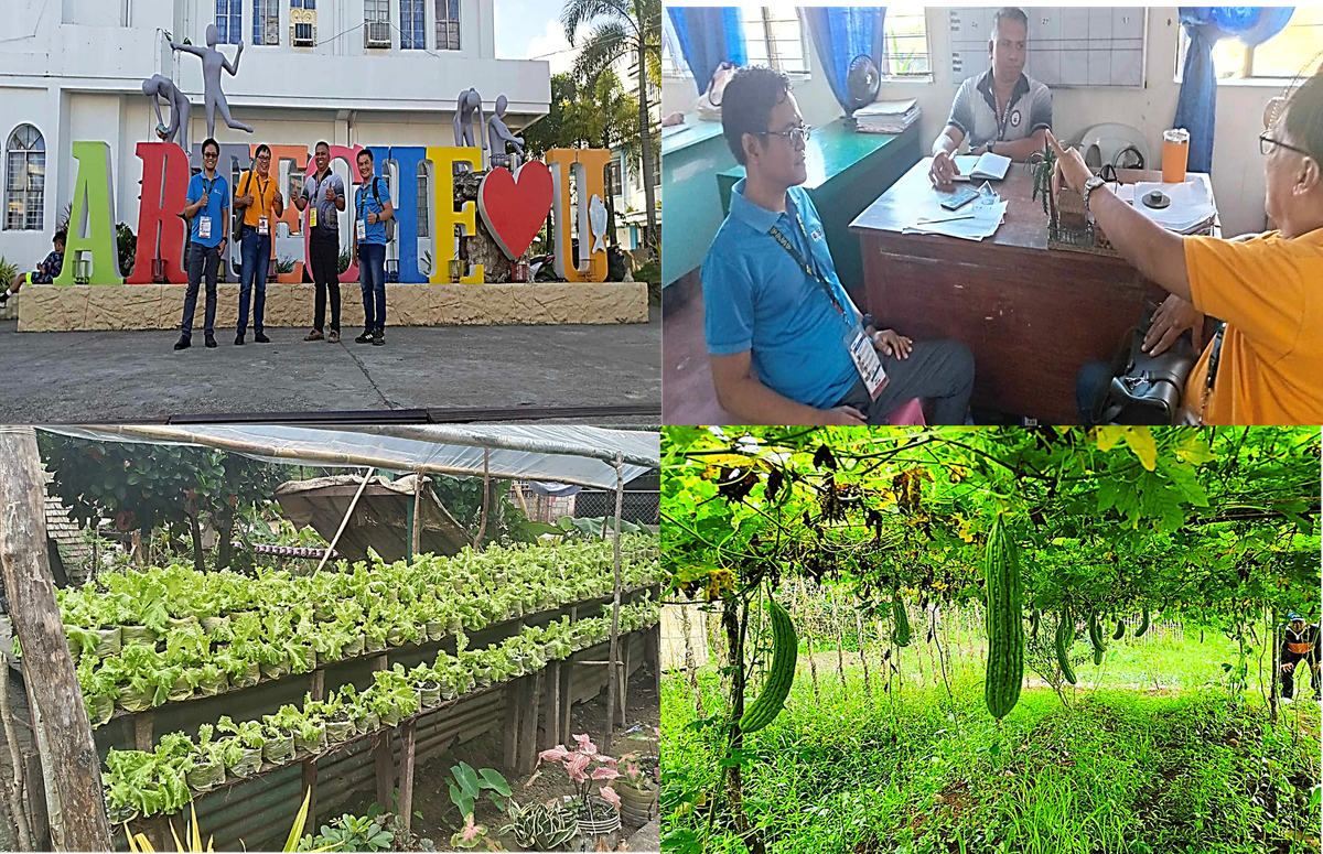DSWD FO VIII EPAHP RPMO Validation: One Barangay, One Gulay of Arteche ...